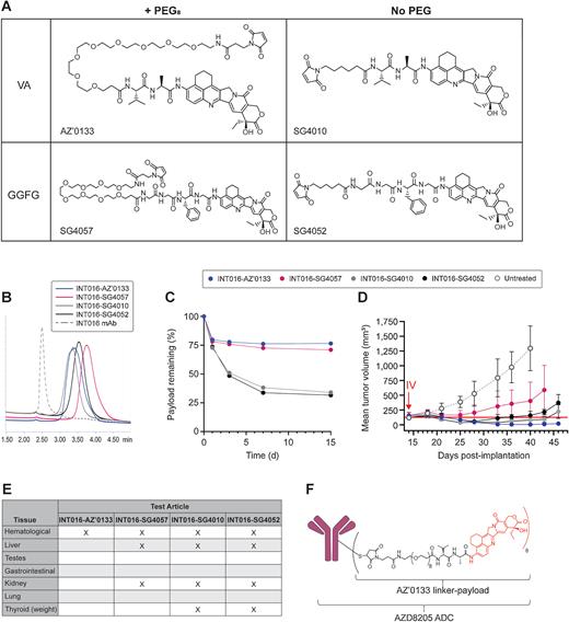 Design and Preclinical Evaluation of a Novel B7-H4–Directed Antibody ...