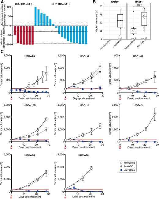 Design and Preclinical Evaluation of a Novel B7-H4–Directed Antibody ...