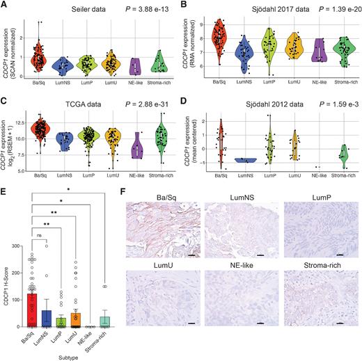 Theranostic Targeting of CUB Domain–Containing Protein 1 (CDCP1) in ...
