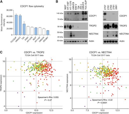Theranostic Targeting of CUB Domain–Containing Protein 1 (CDCP1) in ...