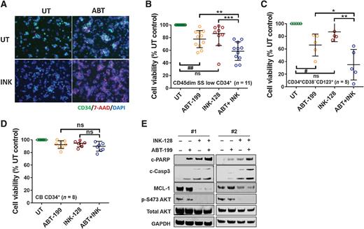 Dual mTORC1/2 Inhibition Synergistically Enhances AML Cell Death in ...