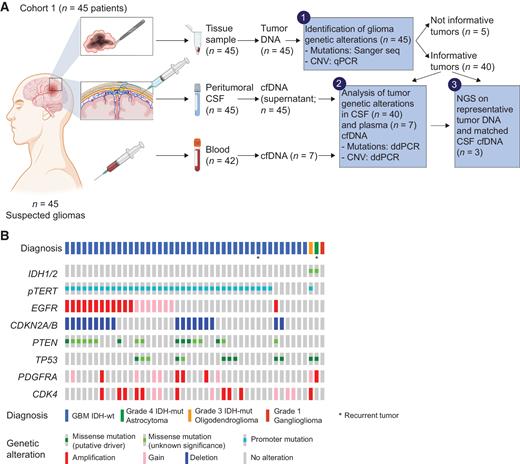 Liquid Biopsy of Cerebrospinal Fluid Enables Selective Profiling of Glioma Molecular Subtypes at ...
