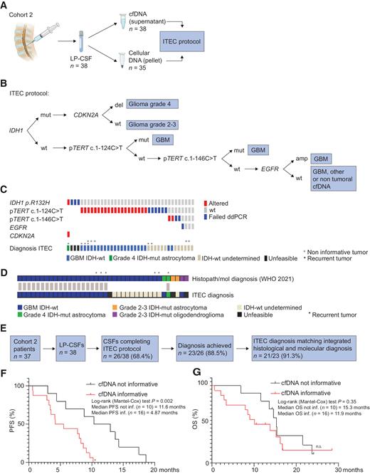 Liquid Biopsy of Cerebrospinal Fluid Enables Selective Profiling of ...