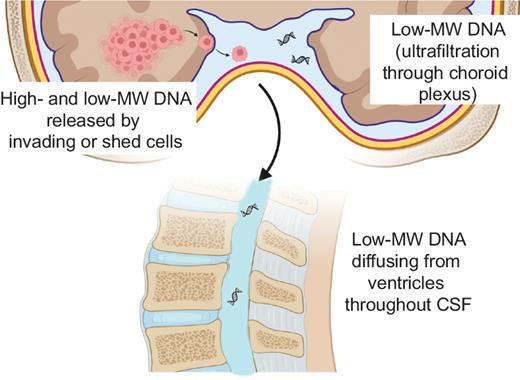 Liquid Biopsy of Cerebrospinal Fluid Enables Selective Profiling of ...