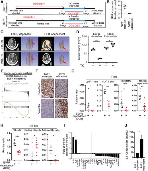IL6 Mediates Suppression of T- and NK-cell Function in EMT-associated ...