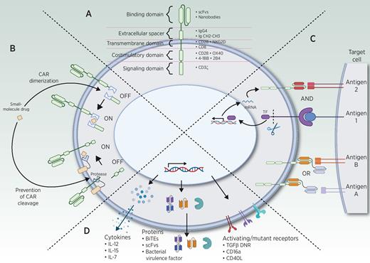 Synthetic Biology in the Engineering of CAR-T and CAR-NK Cell Therapies ...