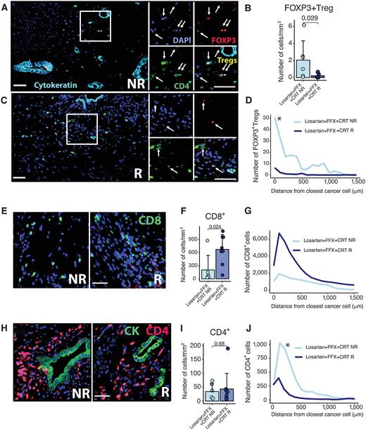 Addition of Losartan to FOLFIRINOX and Chemoradiation Reduces ...