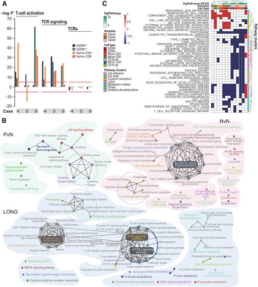 Single-Cell Transcriptomics Reveals Immune Reconstitution in Patients ...