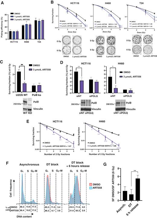 Small-Molecule Polθ Inhibitors Provide Safe and Effective Tumor ...