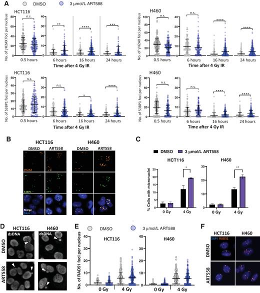 Small-Molecule Polθ Inhibitors Provide Safe and Effective Tumor ...