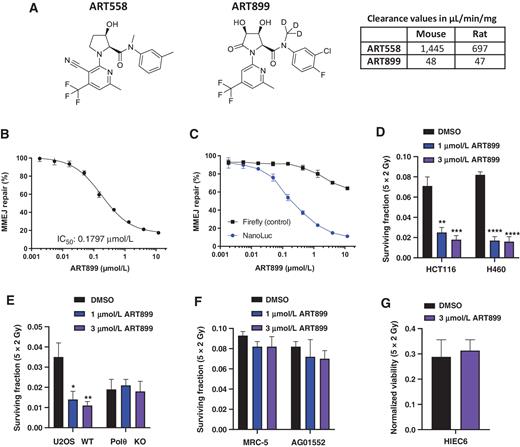 Small-Molecule Polθ Inhibitors Provide Safe and Effective Tumor ...