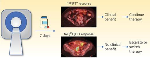 Shedding Light on PARP Inhibitor Response through Functional Imaging ...
