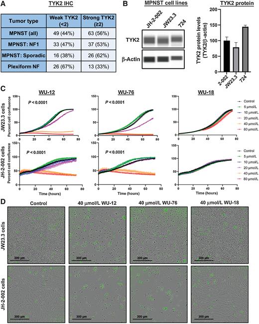MEK Inhibition Synergizes with TYK2 Inhibitors in NF1-Associated ...