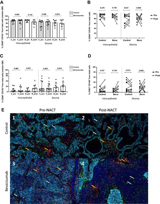 Analysis of Tumor Microenvironment Changes after Neoadjuvant ...