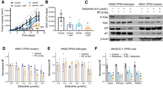 FAK Drives Resistance to Therapy in HPV-Negative Head and Neck Cancer in a p53-Dependent Manner ...