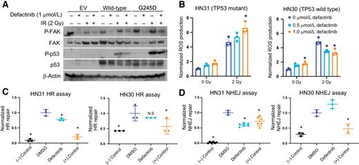 FAK Drives Resistance to Therapy in HPV-Negative Head and Neck Cancer in a p53-Dependent Manner ...