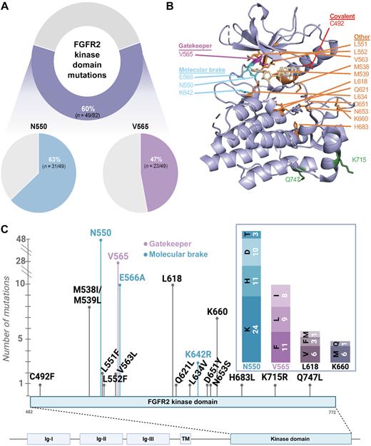 Landscape of Clinical Resistance Mechanisms to FGFR Inhibitors in FGFR2-Altered ...