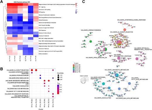 Phase II Clinical Trial of Pembrolizumab and Chemotherapy Reveals ...