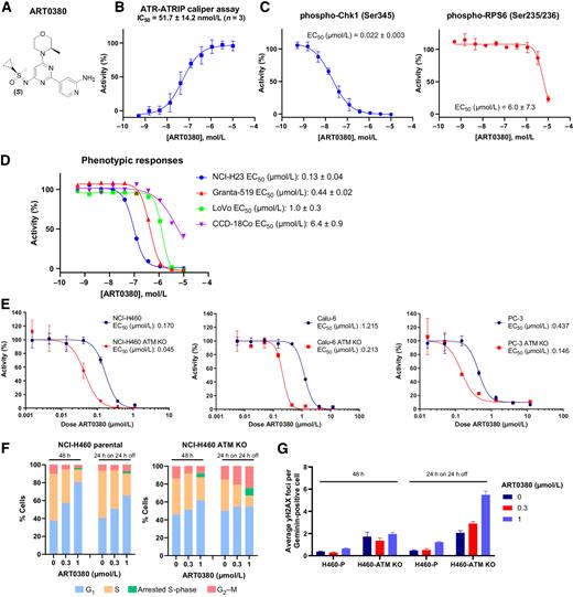 Ataxia-Telangiectasia Mutated Loss-of-Function Displays Variant and ...
