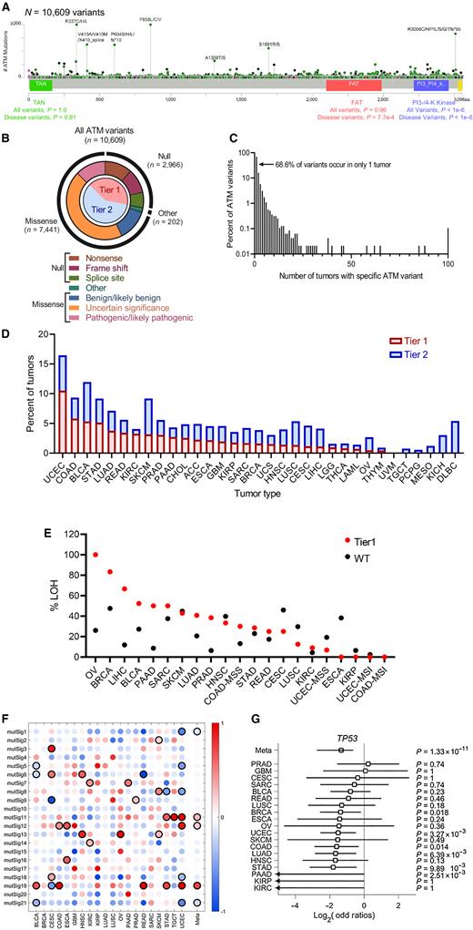 Ataxia-Telangiectasia Mutated Loss-of-Function Displays Variant and ...