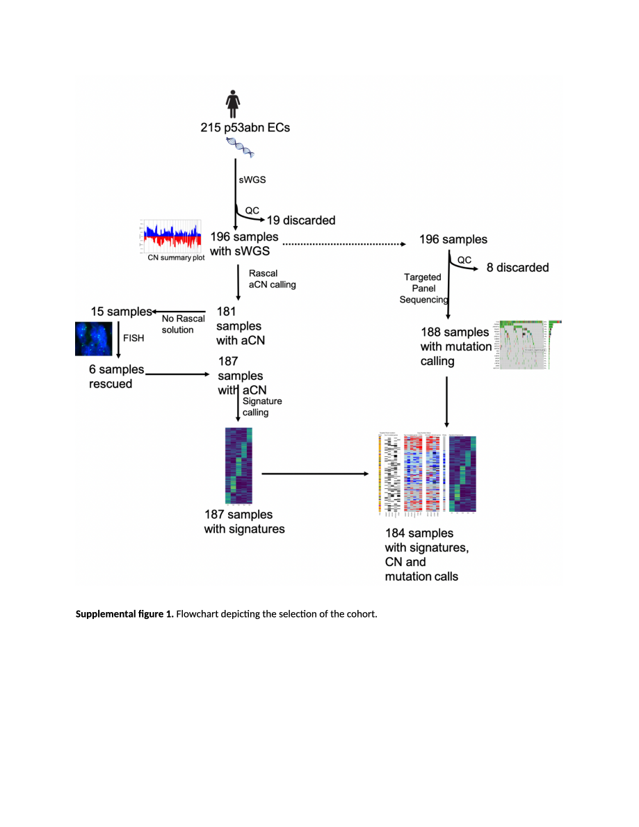 Targeted and Shallow Whole-Genome Sequencing Identifies Therapeutic ...