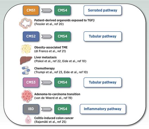 Clinical Challenges of Consensus Molecular Subtype CMS4 Colon Cancer in the Era of Precision ...