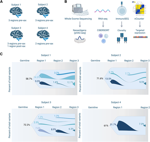 Integrating Multisector Molecular Characterization into Personalized ...
