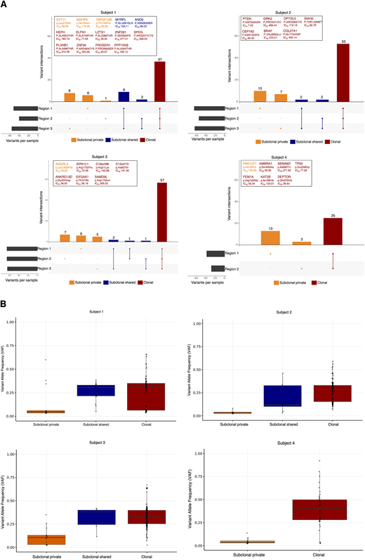 Integrating Multisector Molecular Characterization into Personalized ...