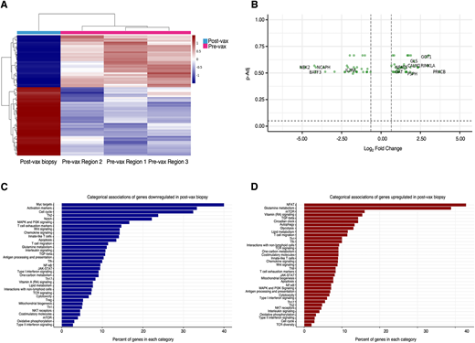 Integrating Multisector Molecular Characterization into Personalized ...