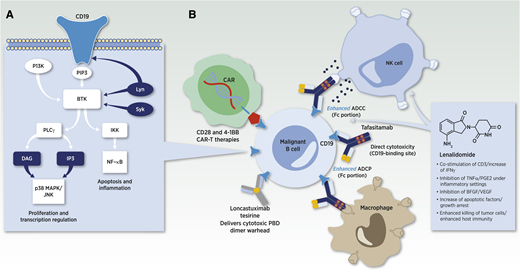 Sequencing of Anti-CD19 Therapies in the Management of Diffuse Large B ...