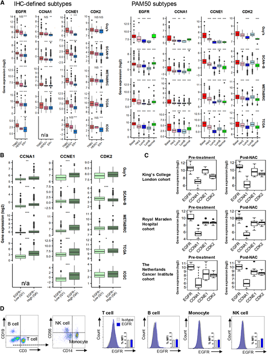 Anti-EGFR Antibody–Drug Conjugate Carrying an Inhibitor Targeting CDK ...