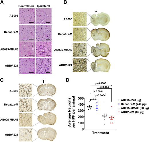 Bystander Effects, Pharmacokinetics, and Linker-Payload Stability of ...