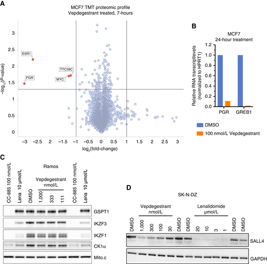 Oral Estrogen Receptor PROTAC Vepdegestrant (ARV-471) Is Highly ...