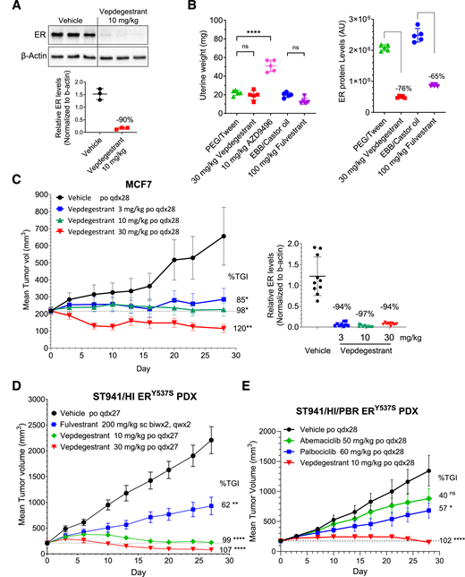 Oral Estrogen Receptor PROTAC Vepdegestrant (ARV-471) Is Highly ...