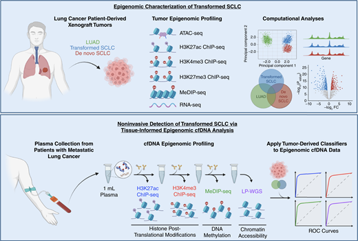 Detecting Small Cell Transformation in Patients with Advanced EGFR ...