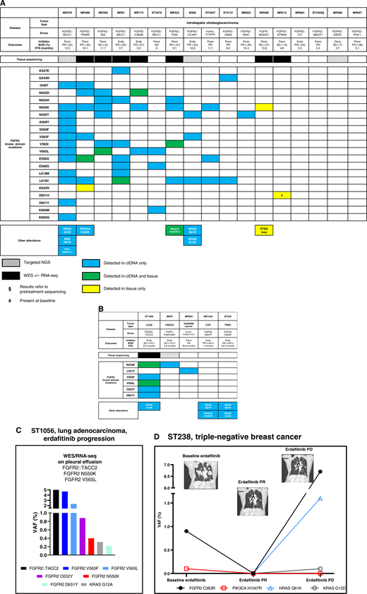 Understanding and Overcoming Resistance to Selective FGFR Inhibitors ...