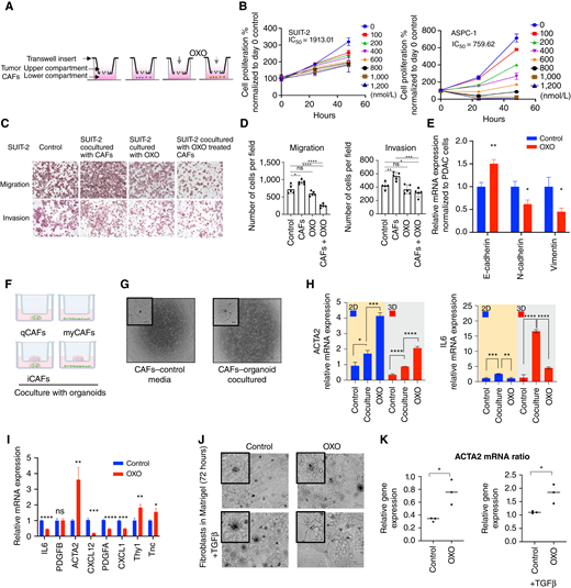 TAK1 Promotes an Immunosuppressive Tumor Microenvironment through ...