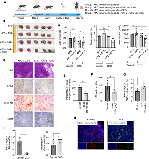 TAK1 Promotes an Immunosuppressive Tumor Microenvironment through ...