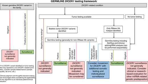 DICER1-Related Tumor Predisposition: Identification of At-risk ...