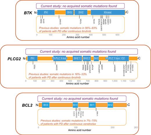 Absence of BTK, BCL2, and PLCG2 Mutations in Chronic Lymphocytic ...