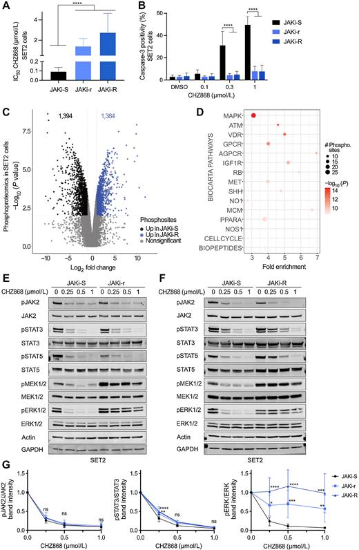 Development of Resistance to Type II JAK2 Inhibitors in MPN Depends on AXL Kinase and Is ...