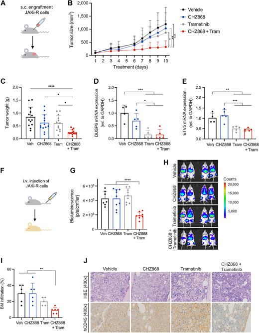 Development of Resistance to Type II JAK2 Inhibitors in MPN Depends on AXL Kinase and Is ...