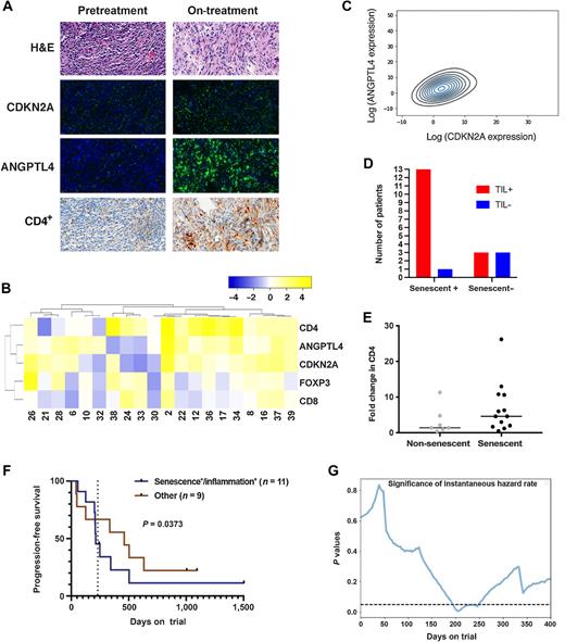 Therapy-Induced Senescence Contributes to the Efficacy of Abemaciclib ...