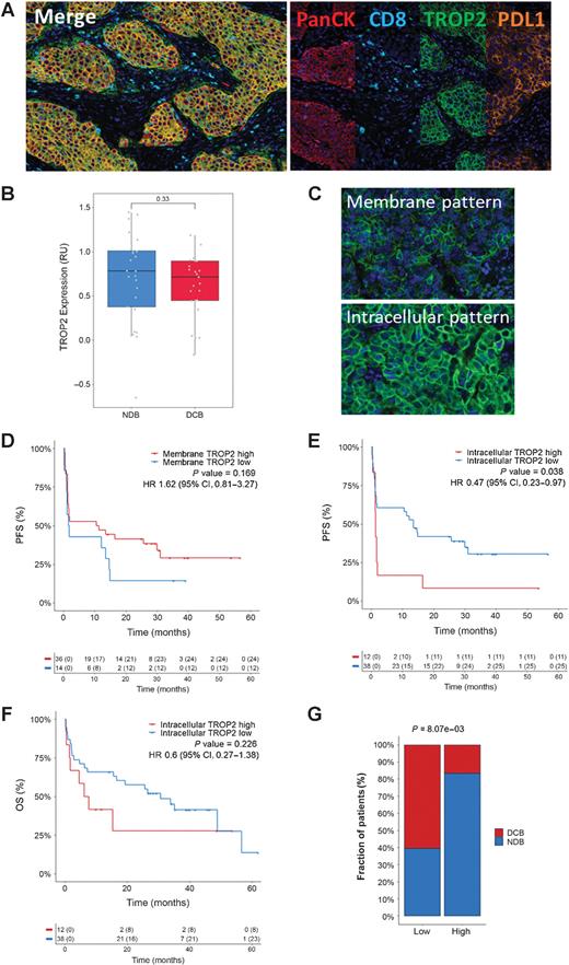 TROP2 Is Associated with Primary Resistance to Immune Checkpoint Inhibition in Patients with ...
