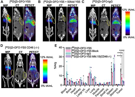 CD46-Targeted Theranostics for PET and 225Ac-Radiopharmaceutical ...