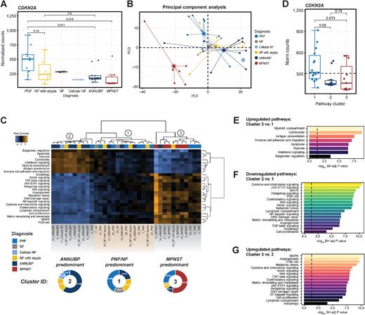Spatial Gene-Expression Profiling Unveils Immuno-oncogenic Programs of ...