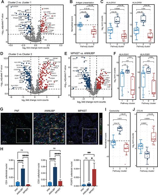 Spatial Gene-Expression Profiling Unveils Immuno-oncogenic Programs of ...