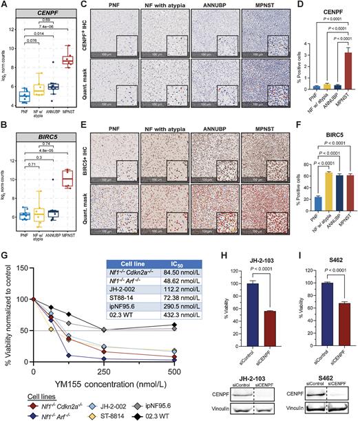 Spatial Gene-Expression Profiling Unveils Immuno-oncogenic Programs of ...