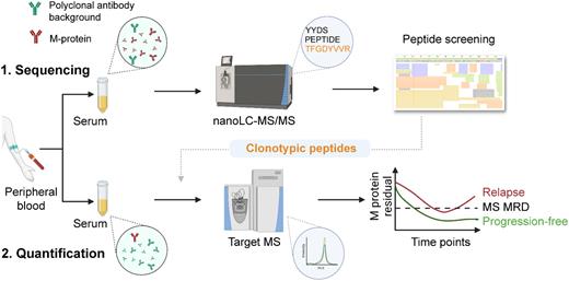 Monitoring Minimal Residual Disease in Patients with Multiple Myeloma ...