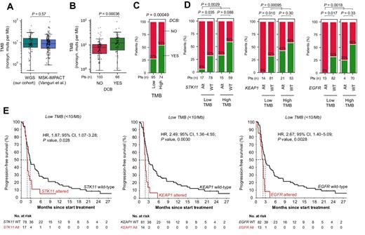 Combining Genomic Biomarkers To Guide Immunotherapy In Non Small Cell Lung Cancer Clinical